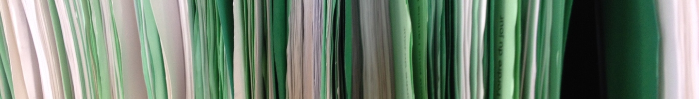 Access to information - SHDM